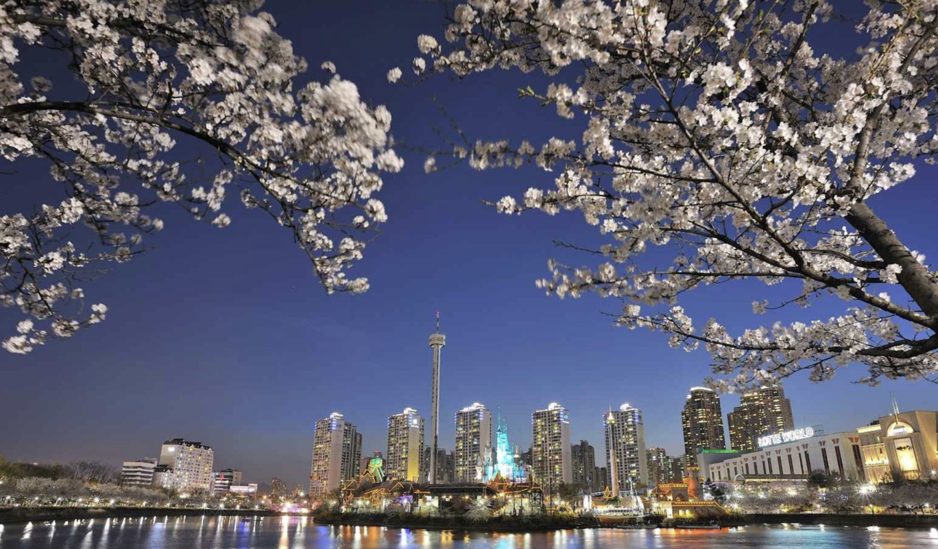 Cherry Blossoms in Korea 2025: A Spring Travel Guide - Interesting ...